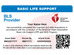 Basic Life Support (BLS) Certification - Skills Test Only
