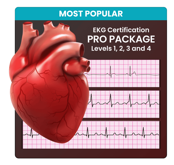 EKG Certification - Pro Package – SureFire CPR