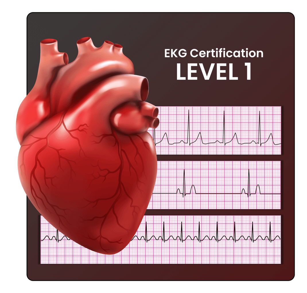 EKG Certification - Pro Package – SureFire CPR