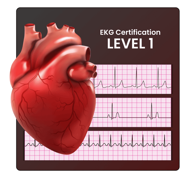 EKG Certification - Level 1 – SureFire CPR