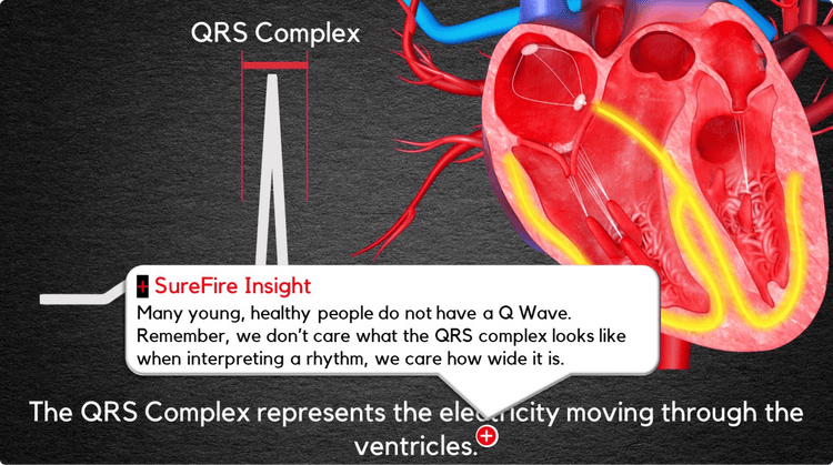 EKG Certification - Level 2 – SureFire CPR