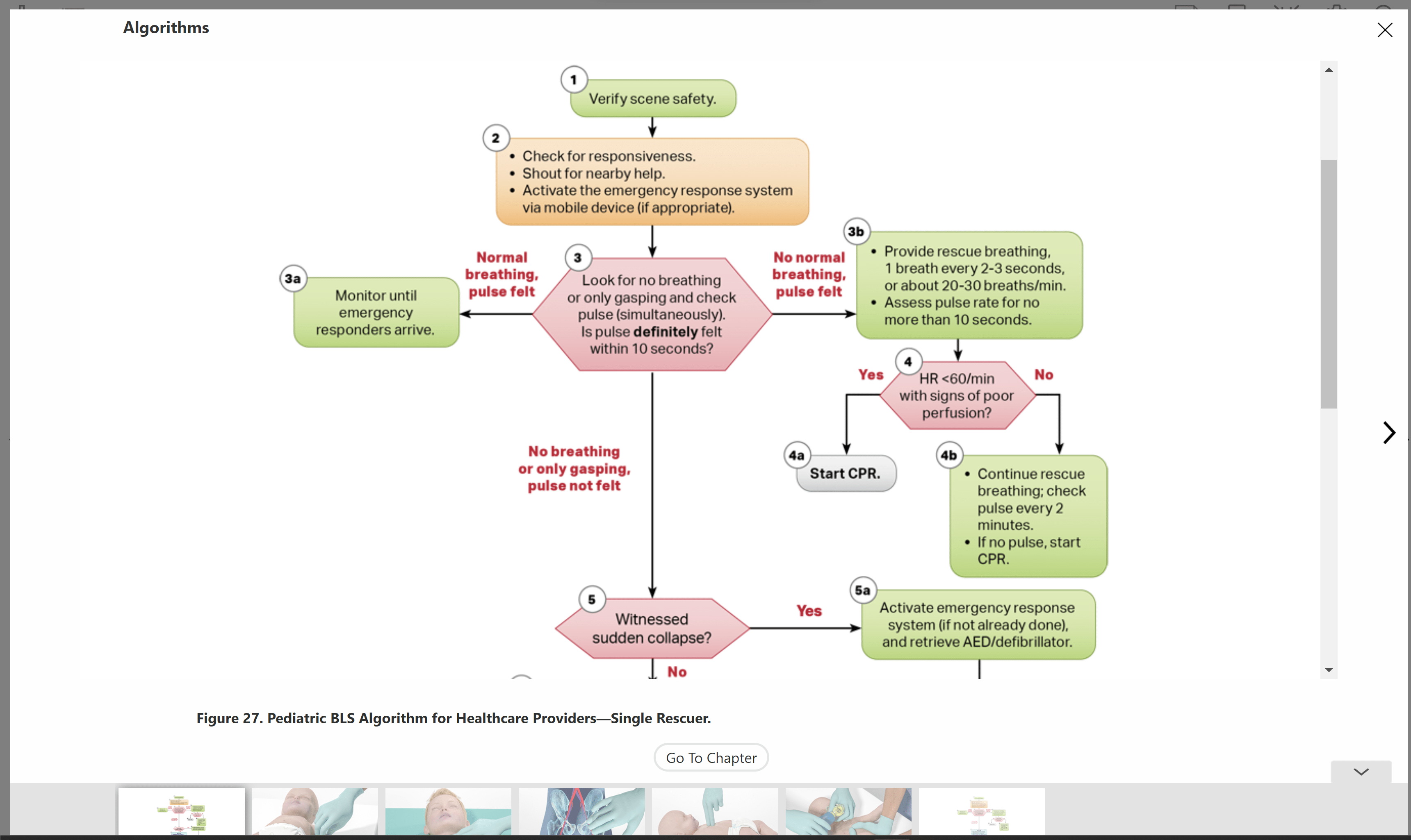 Basic Life Support (BLS) Certification – SureFire CPR